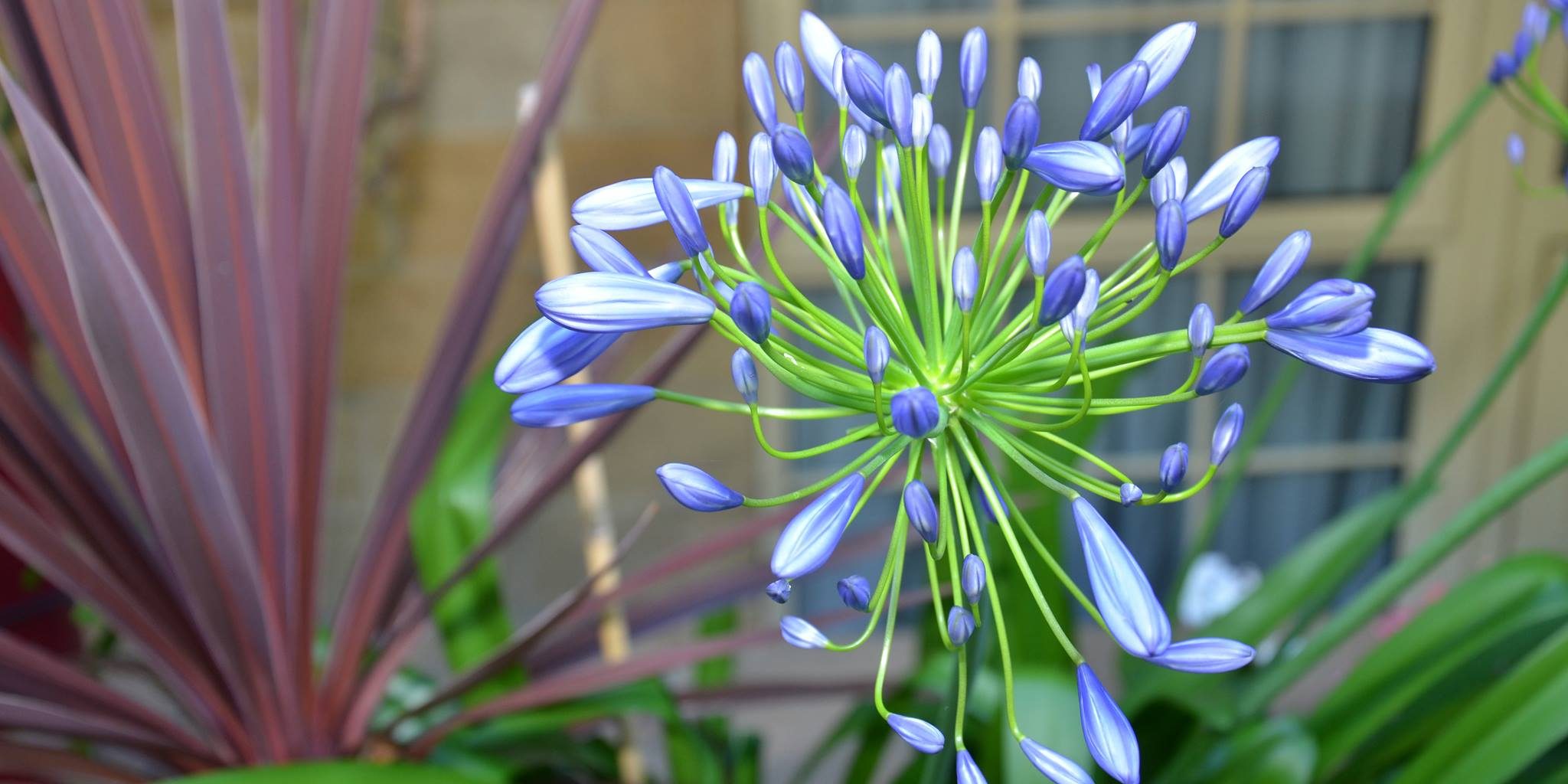 The Garrison Hotel Sheffield is a historical hotel, bar and restaurant.